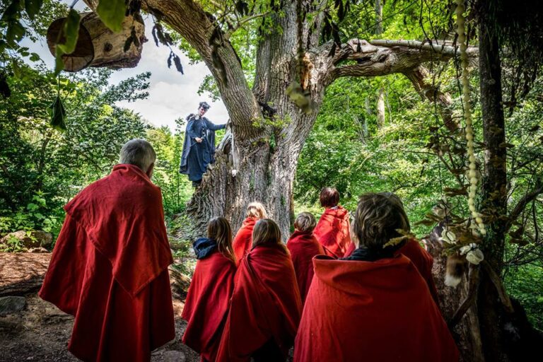 Orm's Journey - Wunderland